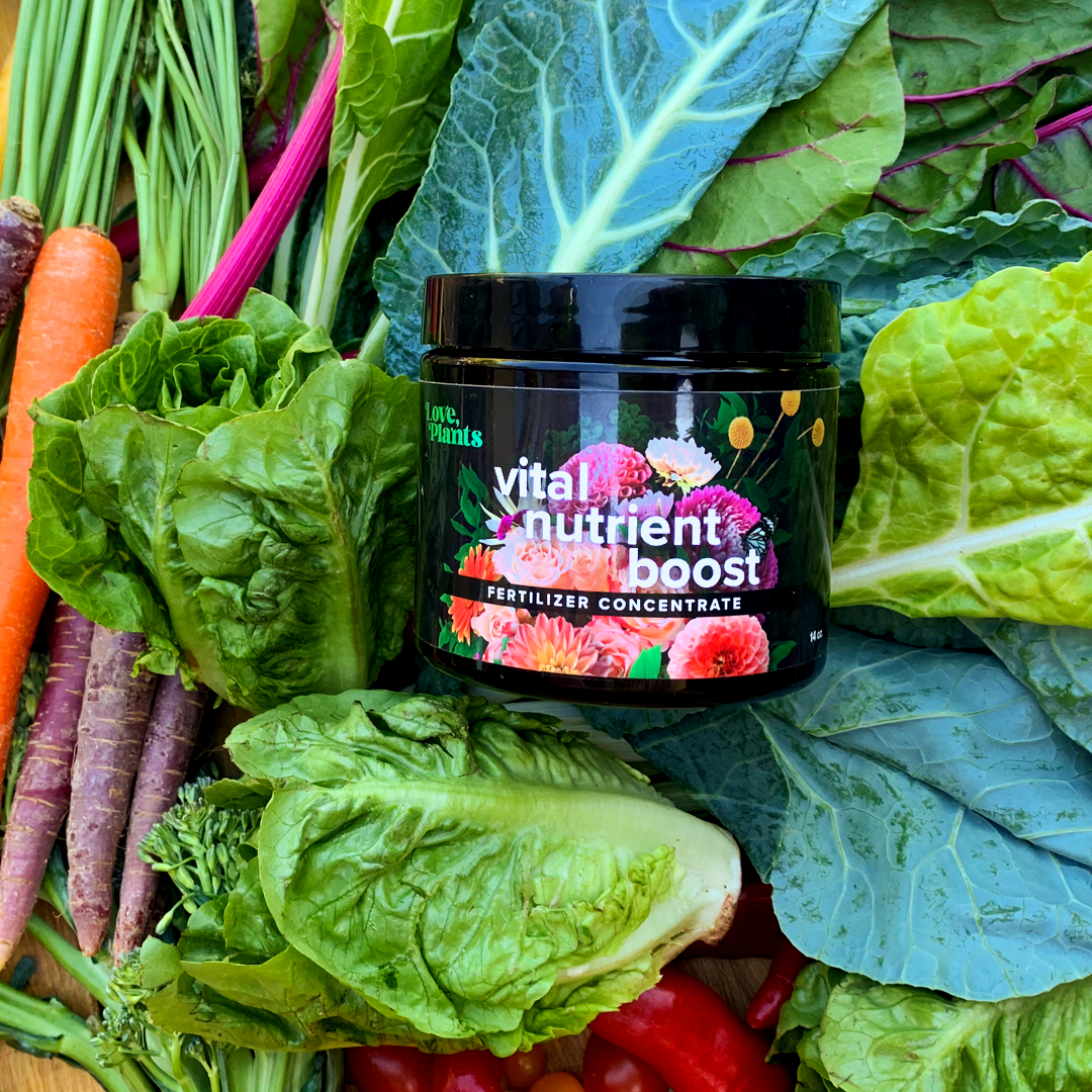 Vital Nutrient Boost - LEVO Oil Infusion, Inc.